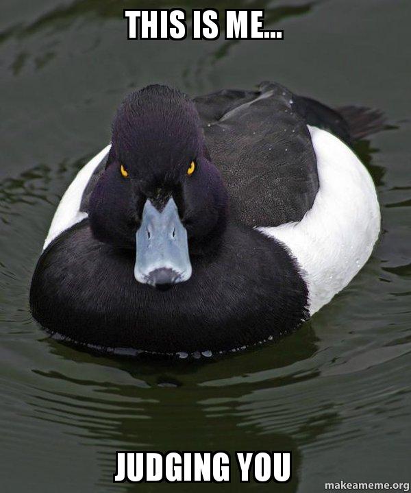 this is me... judging you - Revenge Duck ( Angry Advice Duck ) Meme ...
