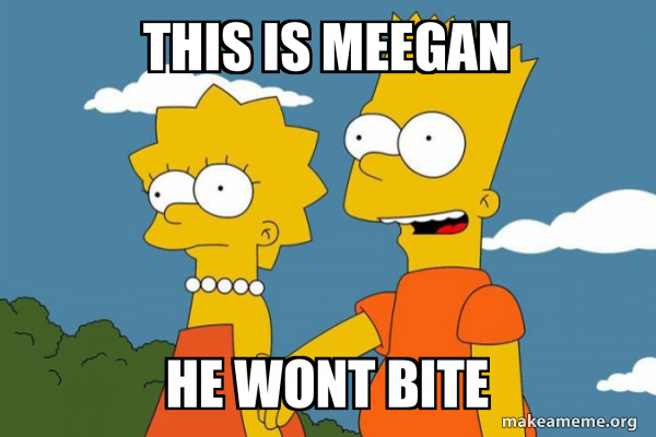 This is meegan he wont bite - Bart and Lisa Chat Meme Generator