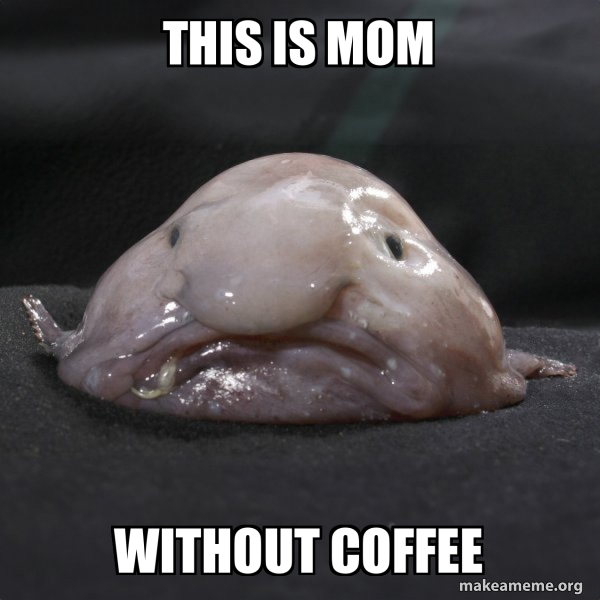 This is mom Without coffee - Blobfish Meme Generator