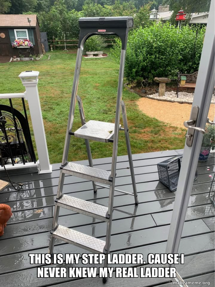 this is my step ladder. Cause I never knew my real ladder Meme Generator