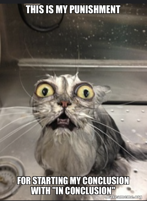 THIS IS MY PUNISHMENT for starting my conclusion with "in conclusion ...