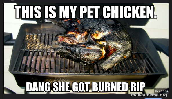 this is my pet chicken. dang she got burned RIP Meme Generator