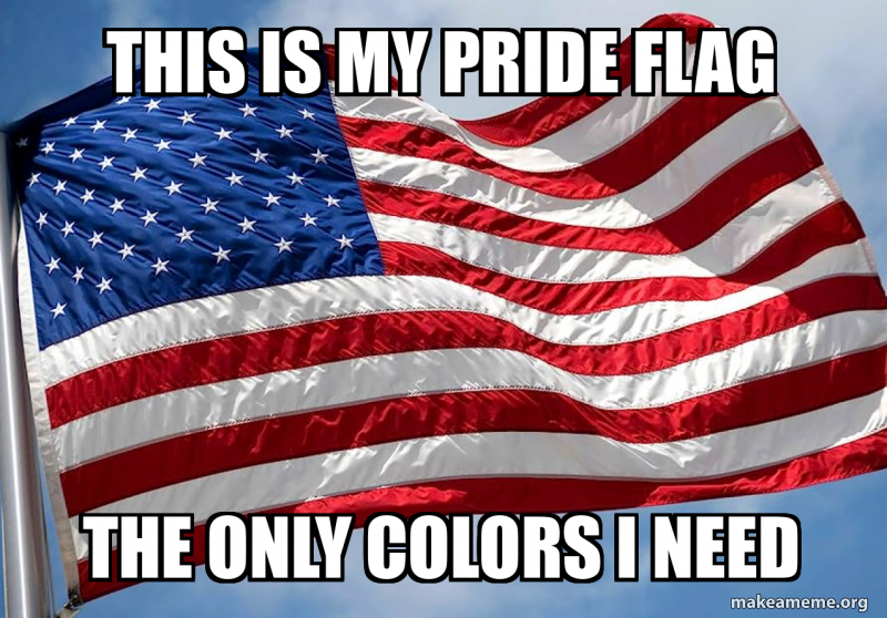 THIS IS MY PRIDE FLAG THE ONLY COLORS I NEED Meme Generator