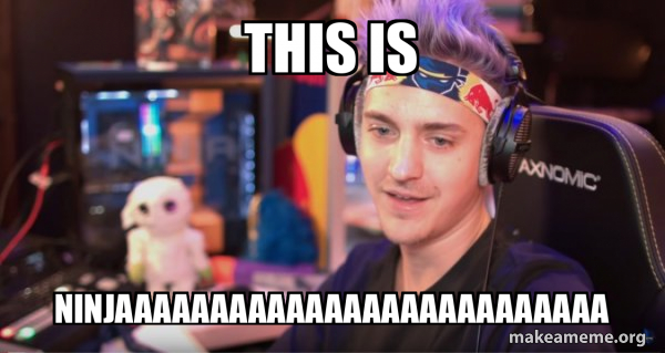 this is ninjaaaaaaaaaaaaaaaaaaaaaaaaaa - Ninja Tyler Blevins Meme Generator