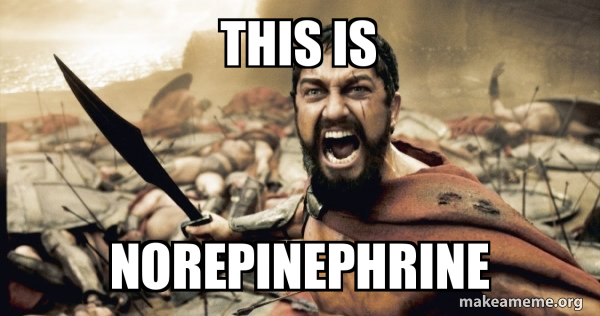 THIS IS NOREPINEPHRINE - The 300 Meme Generator