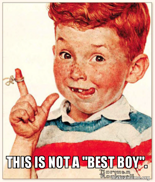 This is not a "best boy". - This is not a "best boy". Meme Generator