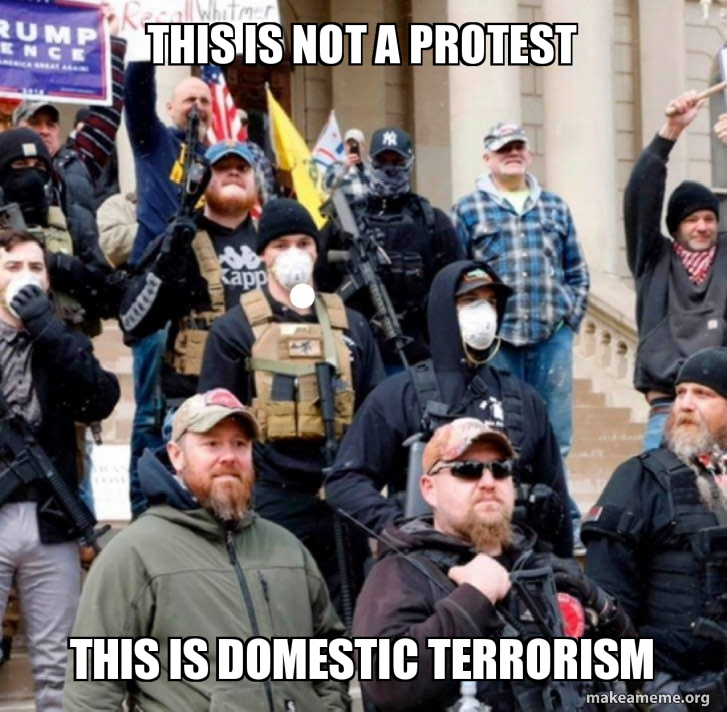 this is not a protest this is domestic terrorism Meme Generator