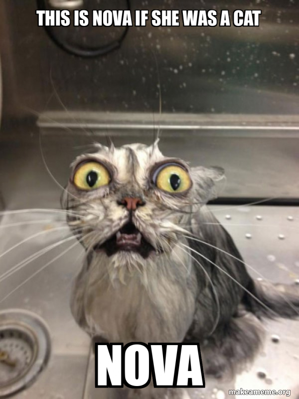This is nova if she was a cat Nova - Cat bath Meme Generator
