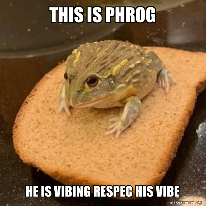 This is Phrog He is vibing Respec his vibe Meme Generator