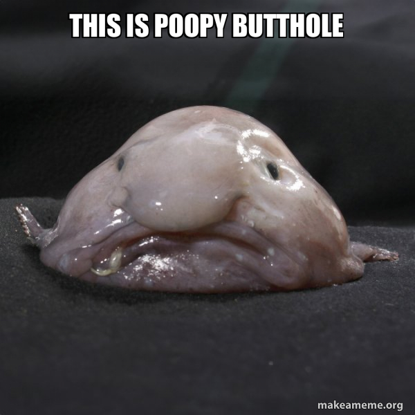 This is poopy butthole - Blobfish Meme Generator