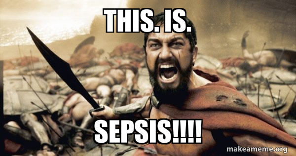 This. Is. Sepsis!!!! - The 300 Meme Generator