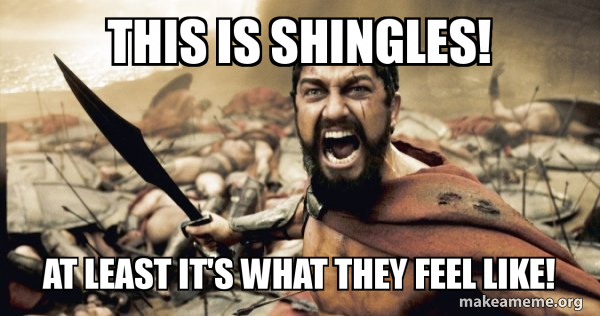 Memes Shingles Funny Shingles Gifts 60+ Gift Ideas For 2025