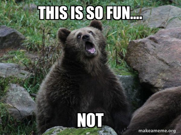 This is so fun.... NOT - Sarcastic Bear Meme Generator