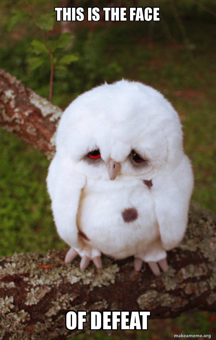 This is the face of defeat - Sad Owl Meme Generator