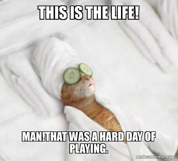 this is the life! Man!That was a hard day of playing. - Pampered Cat ...