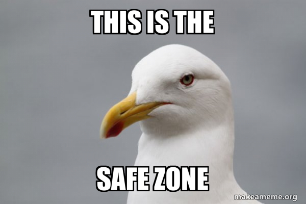 THIS IS THE SAFE ZONE - Stuff That Didn't Happen Seagull Meme Generator