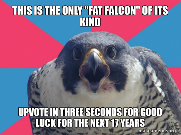 This is the only "Fat Falcon" of its kind upvote in three seconds for ...