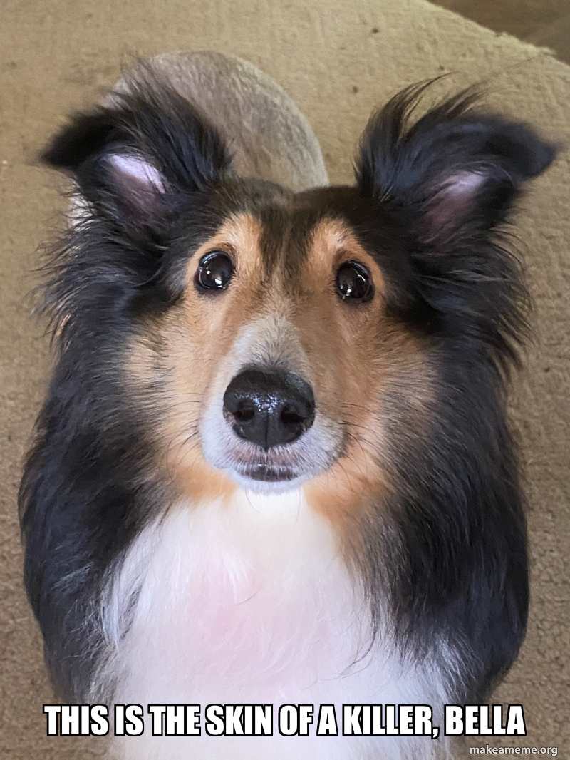 This is the skin Of a killer, Bella Meme Generator