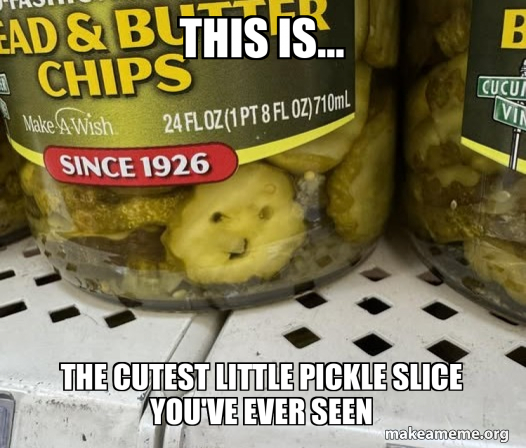 This is... the cutest little pickle slice you've ever seen Meme Generator