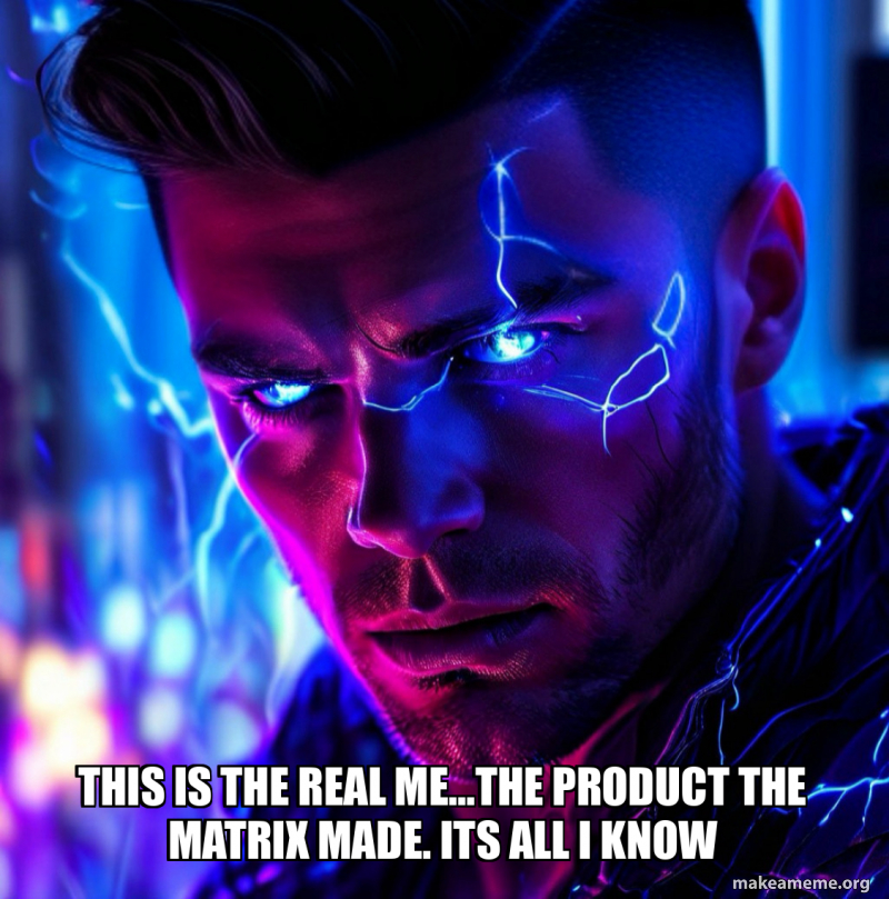 This is the real me…the product the matrix made. Its all i know Meme ...