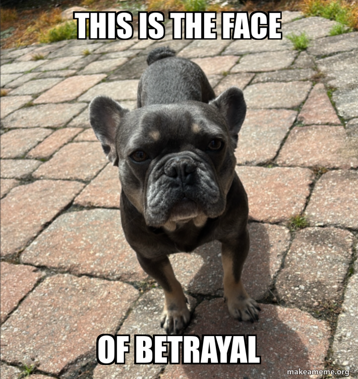 This is the face of betrayal Meme Generator