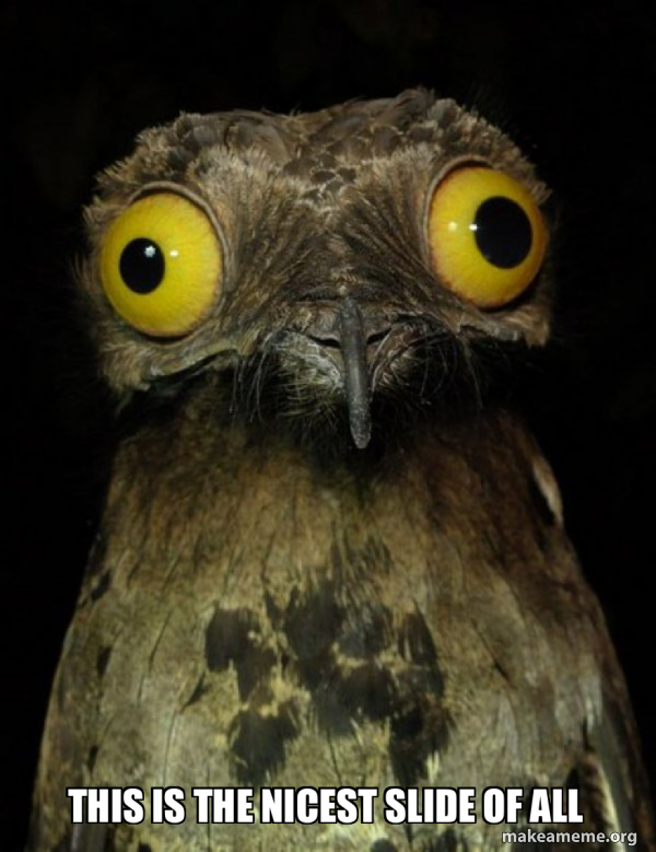 this is the nicest slide of all - Weird Stuff I do Potoo Meme Generator