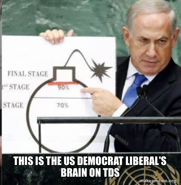 this is the us democrat liberal's brain on tds Meme Generator