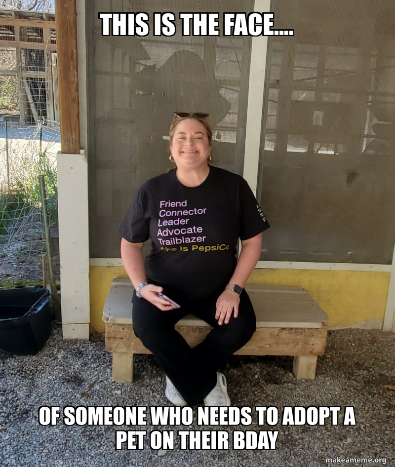 This is the face.... of someone who needs to adopt a pet on their bday ...