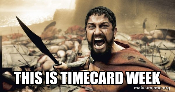 this is timecard week - The 300 Meme Generator