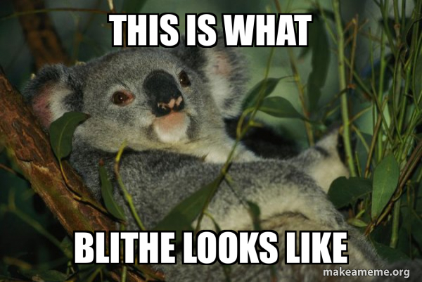This is what blithe looks like - Laid Back Koala Meme Generator