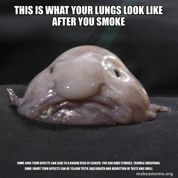 This is what your lungs look like after you smoke Some long term ...