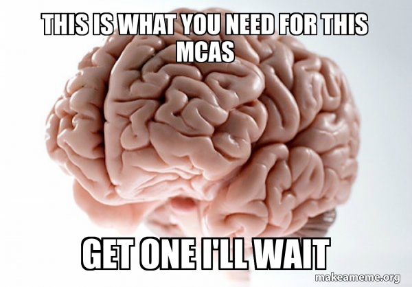 This is what you need for this mcas get one i'll wait - Scumbag Brain ...
