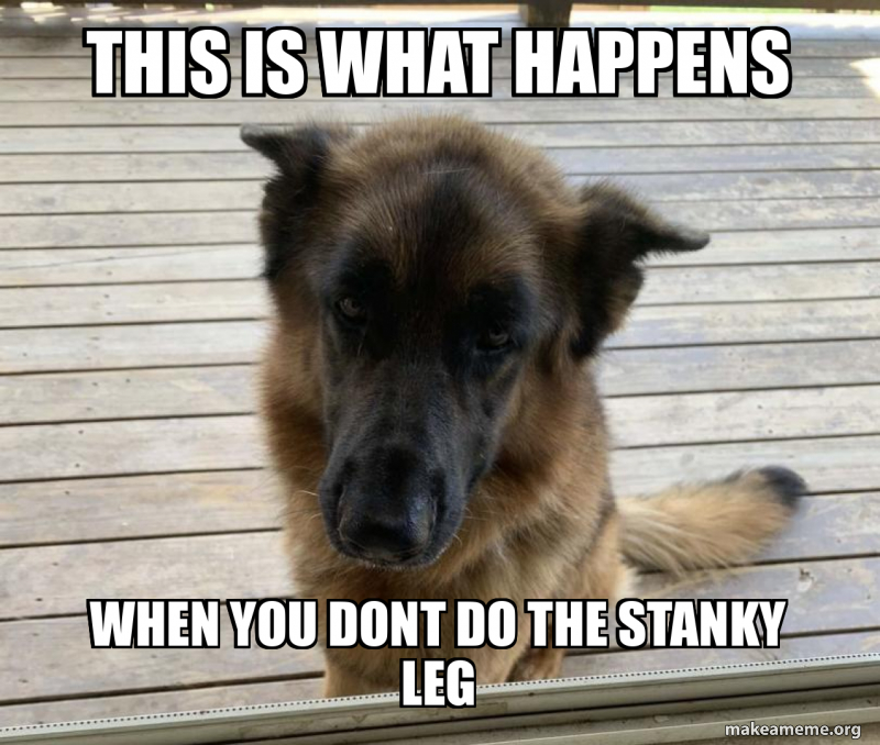 this is what happens when you dont do the stanky leg Meme Generator