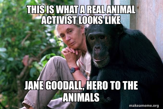 This is what a real animal activist looks like Jane Goodall, hero to ...