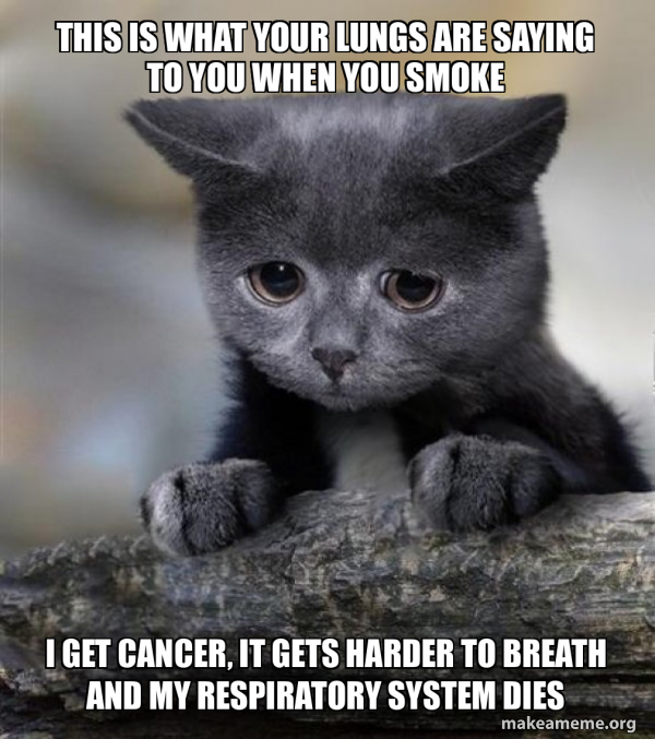This is what your lungs are saying to you when you smoke I get Cancer ...