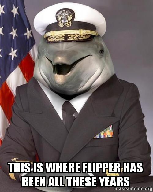 THIS IS WHERE FLIPPER HAS BEEN ALL THESE YEARS Meme Generator