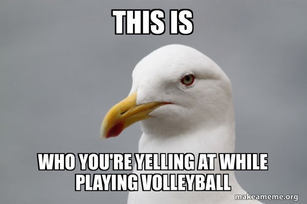 this is who you're yelling at while playing volleyball - Stuff That ...