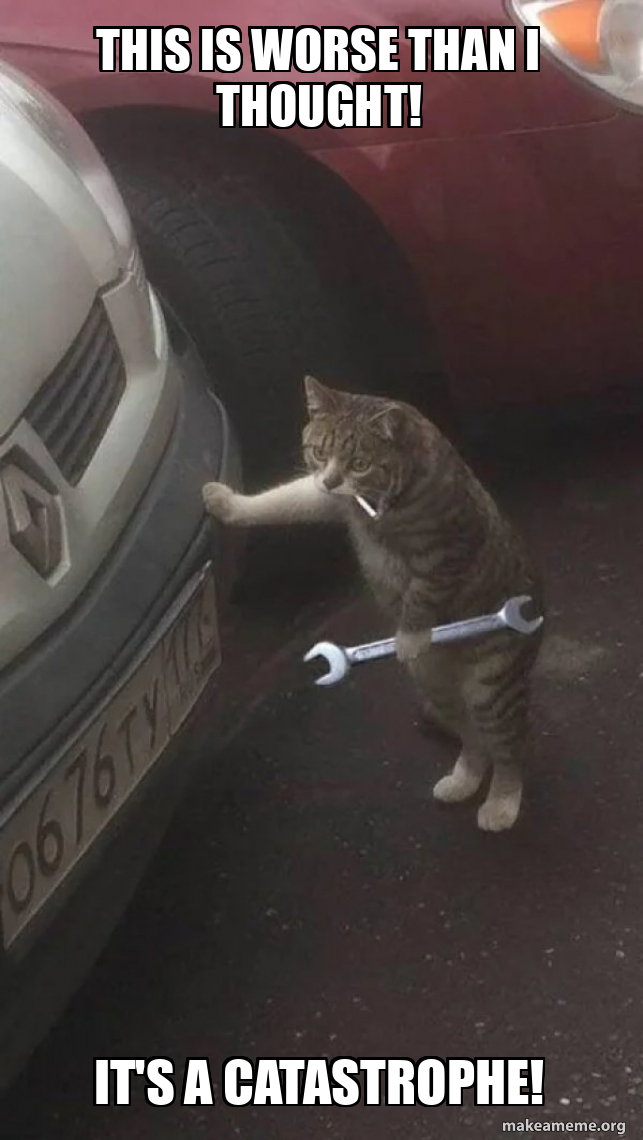 This is worse than I thought! It's a CATastrophe! - Mechanic Cat Meme ...