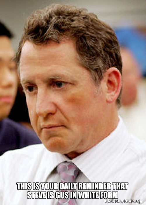 This is your daily reminder That Steve is gus in white form Meme Generator