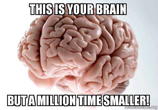 THIS IS YOUR BRAIN BUT A MILLION TIME SMALLER! - Scumbag Brain Meme ...