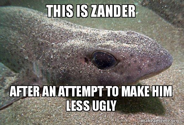 Zander Meme TMF Meme