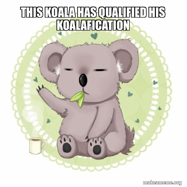 This Koala has qualified his koalafication - Aussie Koala doing the ...