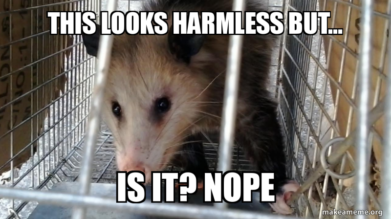 this looks harmless but... is it? Nope Meme Generator