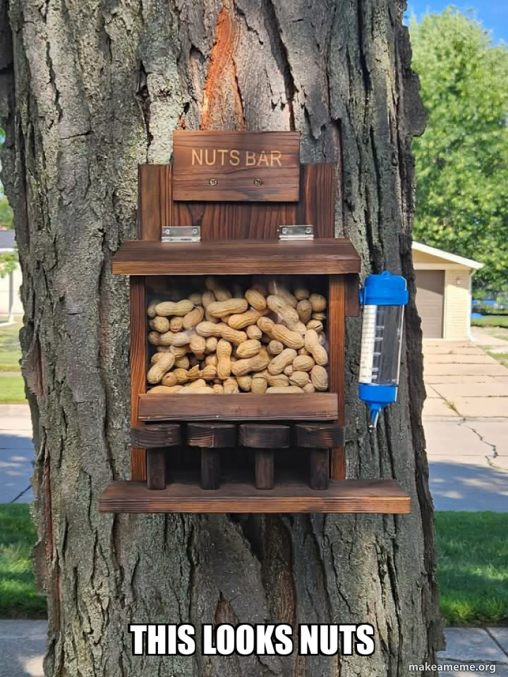 This looks nuts Meme Generator