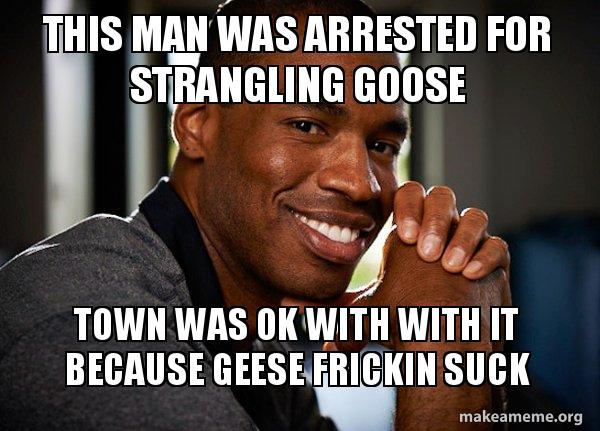 This man was arrested for strangling goose Town was ok with with it ...