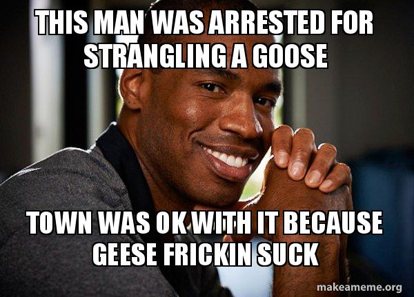 This man was arrested for strangling a goose Town was ok with it ...