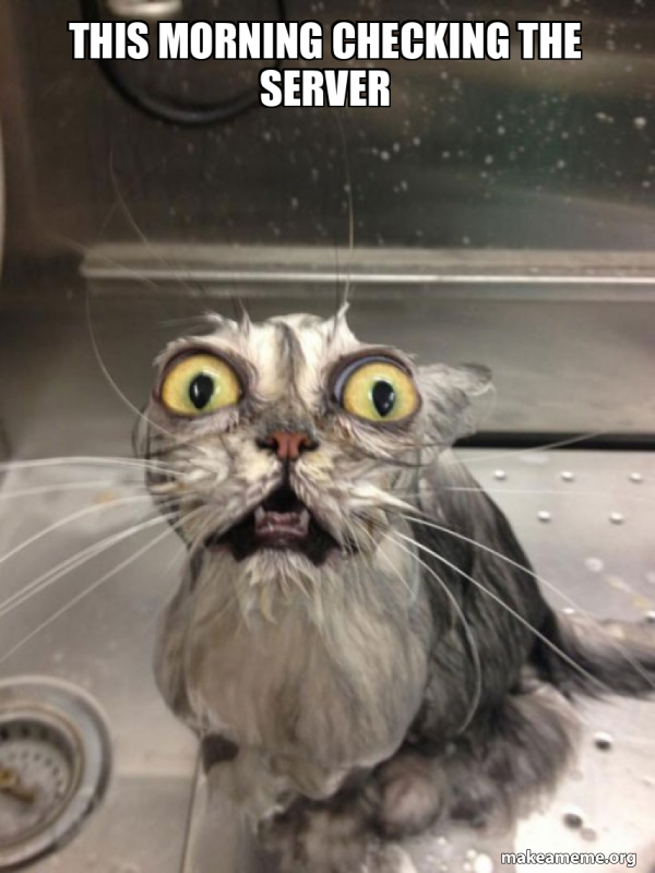 this morning checking the server - Cat bath Meme Generator