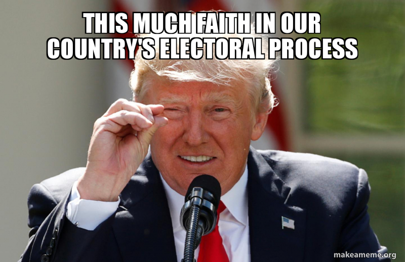 this much faith in our country's electoral process Meme Generator