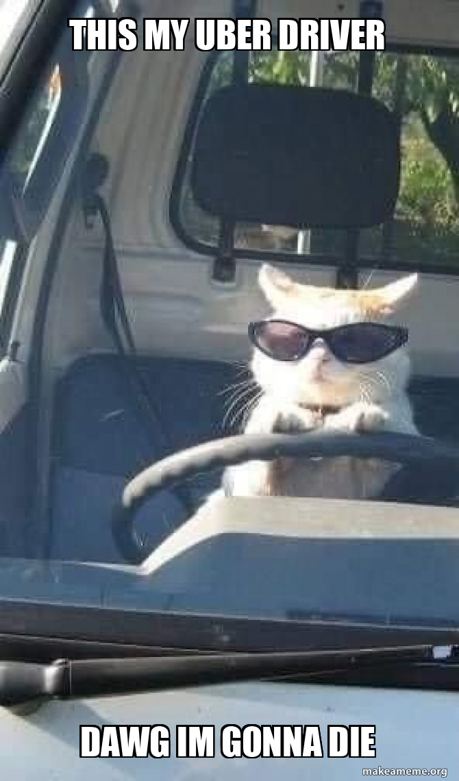 THIS MY UBER DRIVER DAWG IM GONNA DIE Meme Generator
