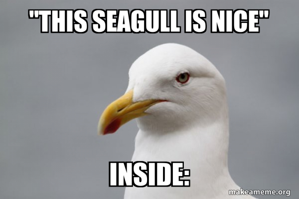 "This seagull is nice" Inside: - Stuff That Didn't Happen Seagull Meme ...